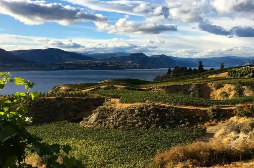 Naramata Bench Wine Tour | Vivid Tours