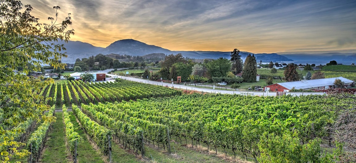 8 Incredible Naramata Bench Wineries | Vivid Tours
